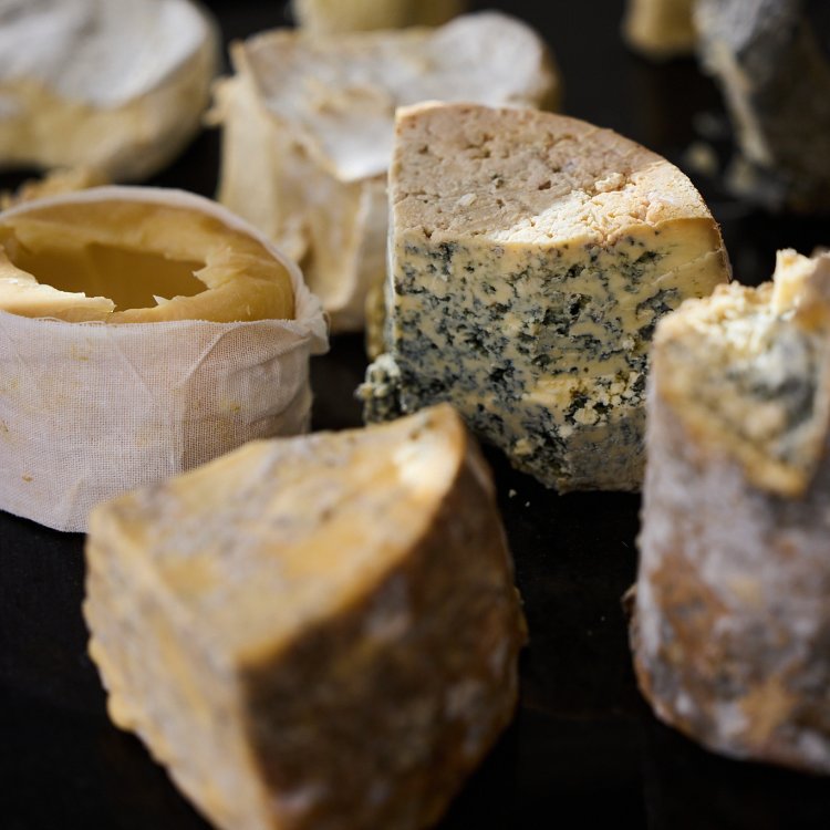 Homepage | VLASS - Middelkerke